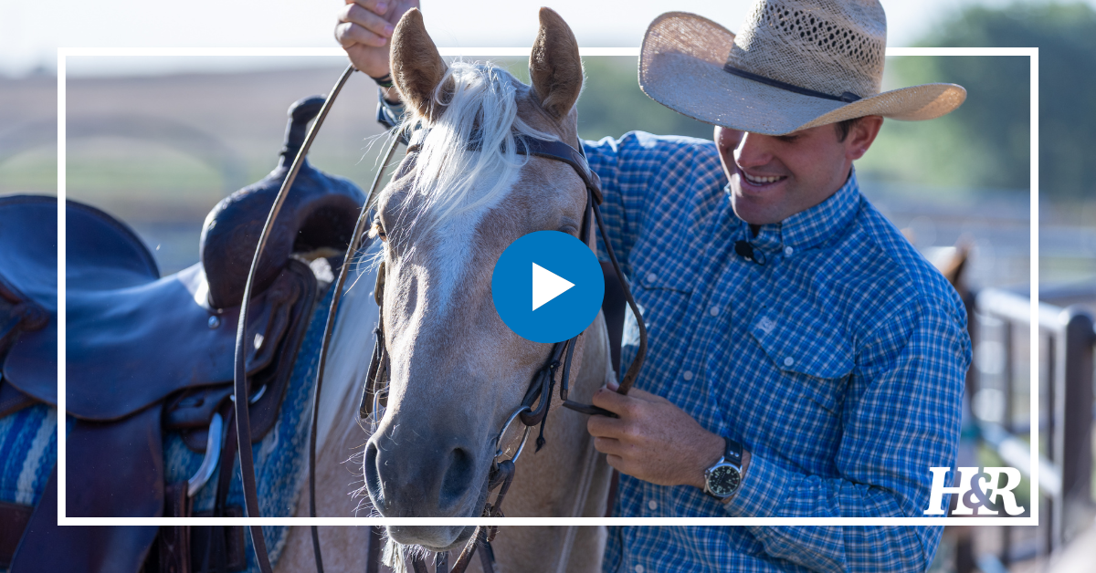 Kody Ward’s Ranch Sorting Bit Guide