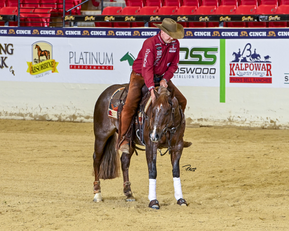 Cushing Wins Stallion Stakes Open Derby & Hackamore Titles