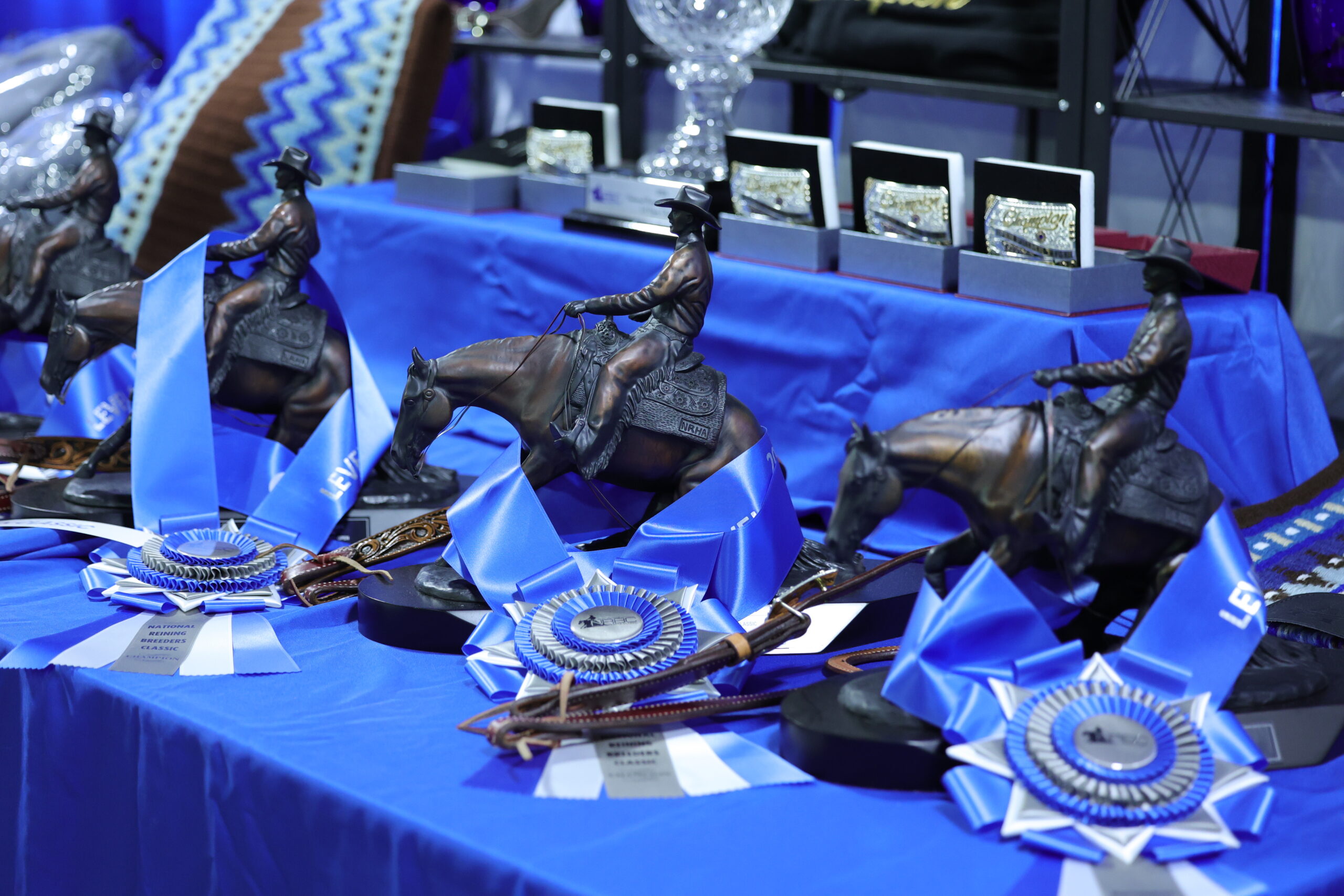 2026 NRBC Finals Set, Find Draw and More Here
