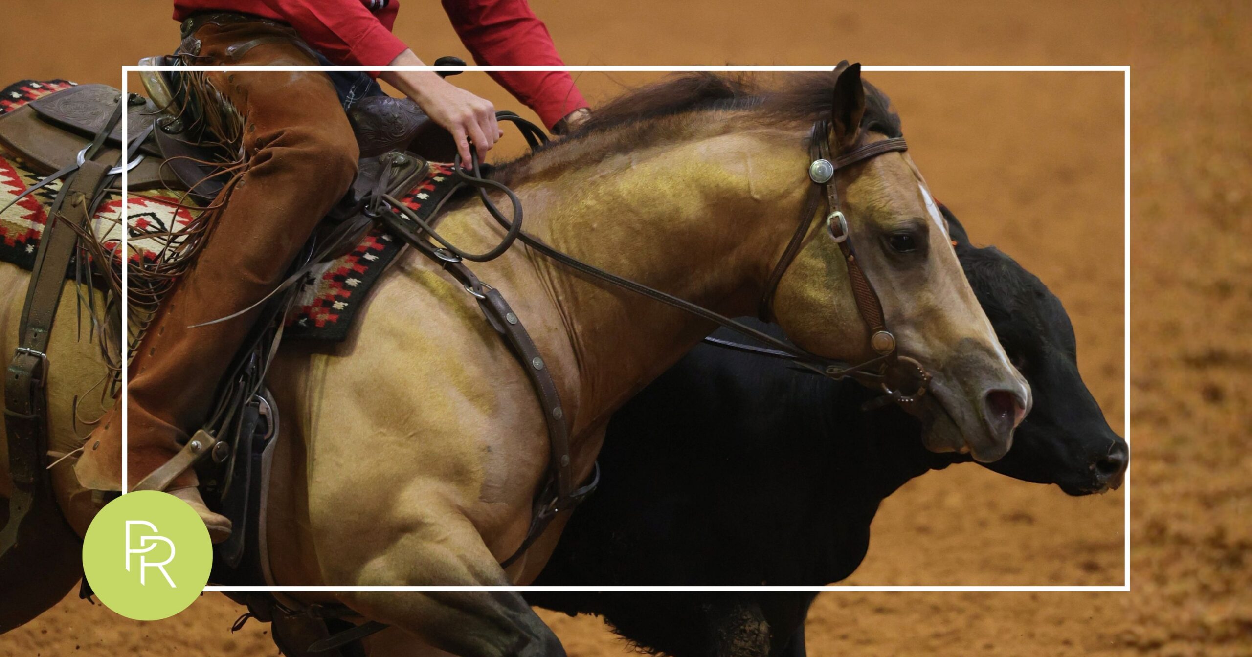 NRCHA Kimes Ranch Derby Returns to Scottsdale: 2026 Results