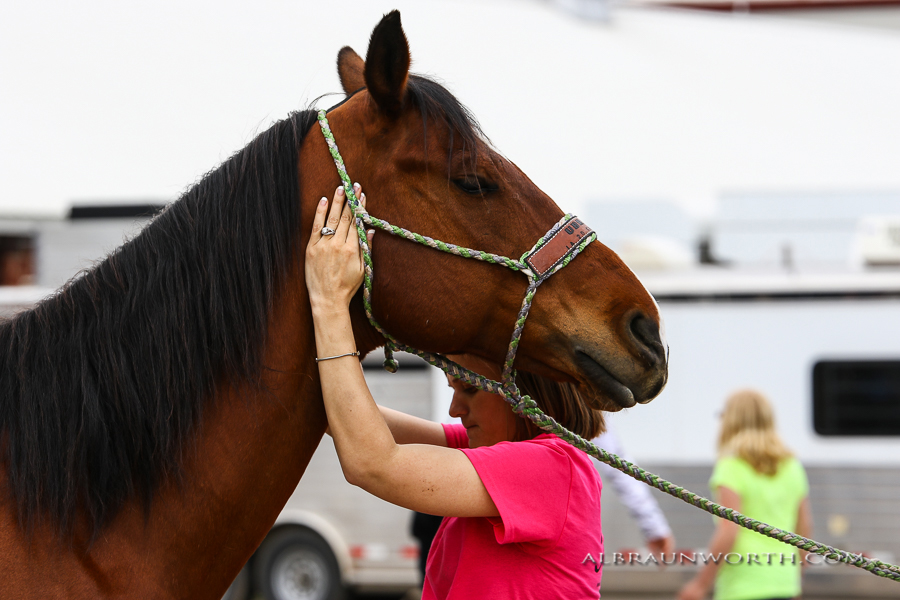 Draft Horse Journal Presents Equine Therapist Anne Hildreth Nisley and ...