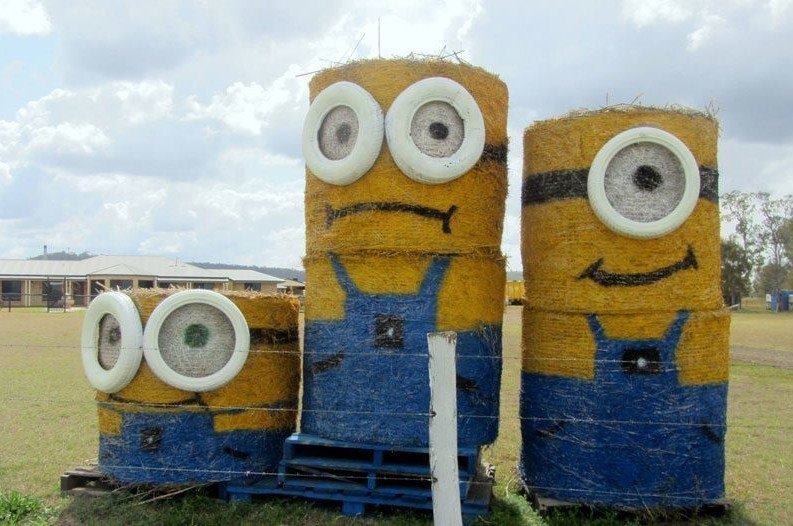 A Horse in Your Inbox, Ovation Product Review, Winter Forage, and ...