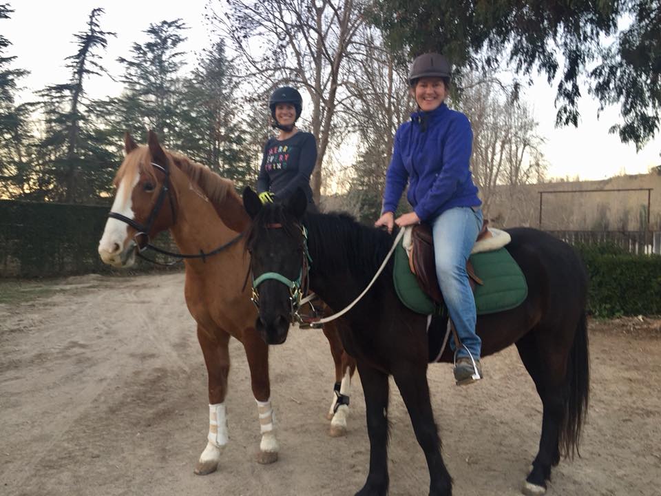 Dr. Burk on Equine Cushings, Bad Linement Advice - by Horseloverz.com ...