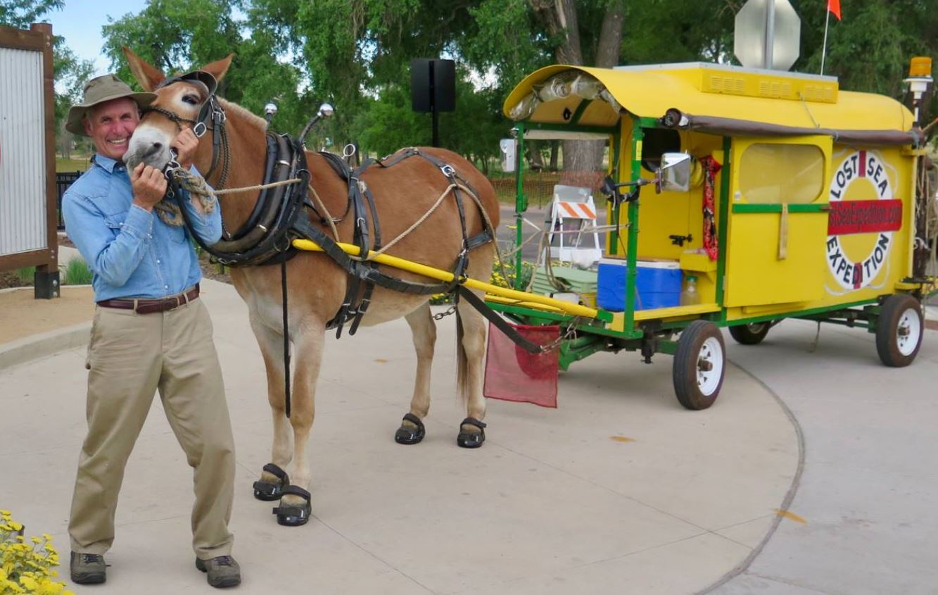 Lost Sea Mule Expedition, 1st World Equestrian Probs, Horse Nation - 08 ...