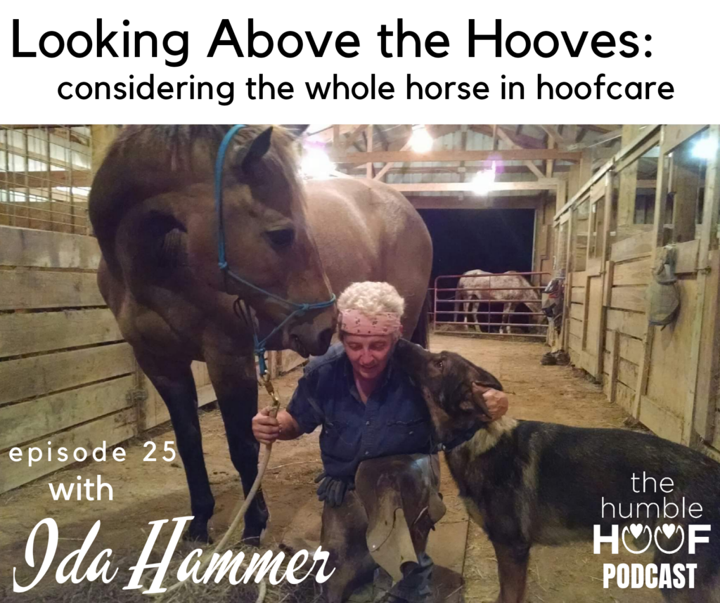 Looking Above the Hooves: Considering the Whole Horse in Hoofcare with ...