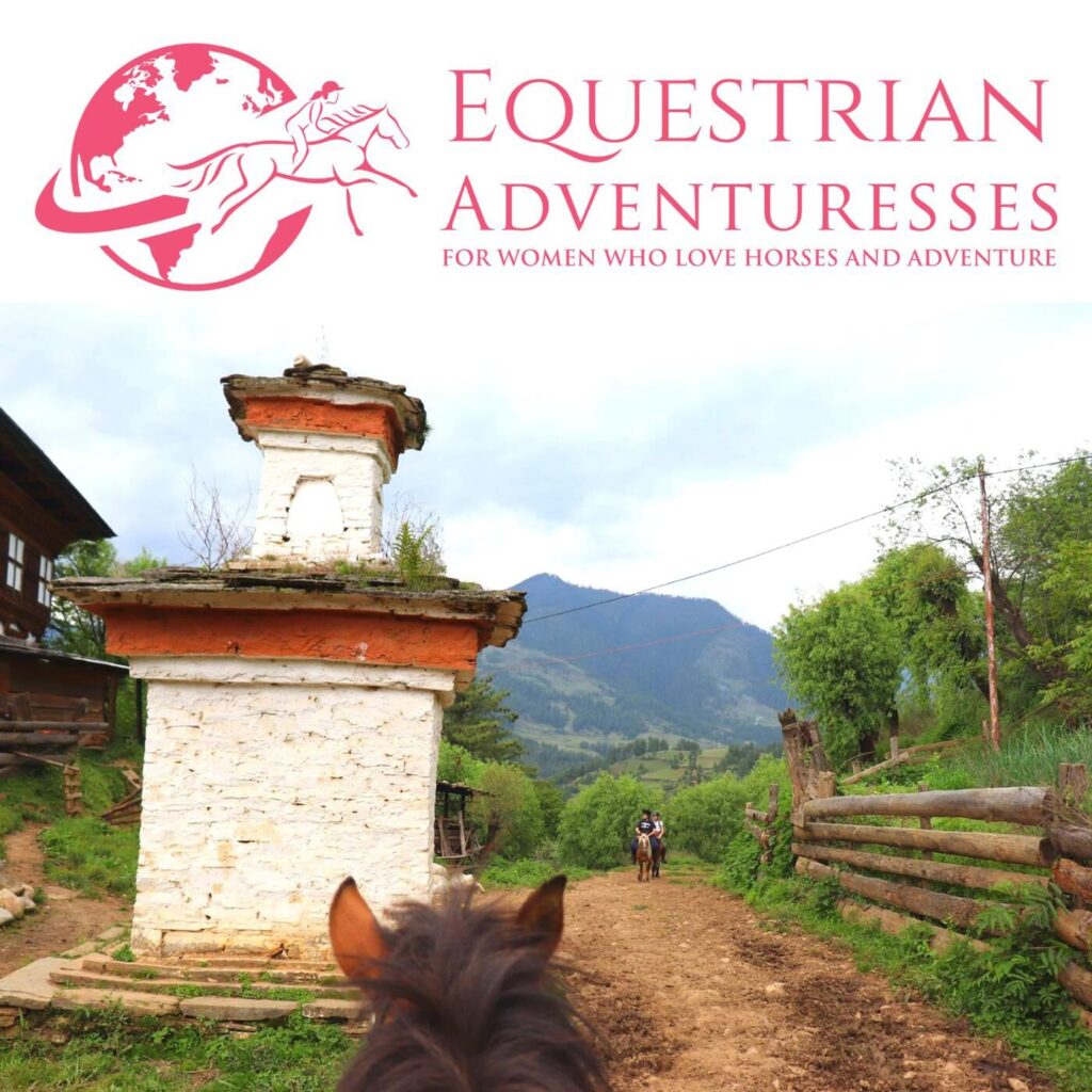 Equestrian Adventuresses: TREC - Orienteering for Riders - Horse Radio ...