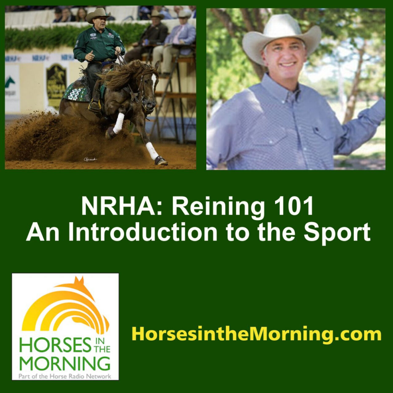 NRHA: Reining 101, An Introduction to the Sport - HORSES IN THE MORNING ...