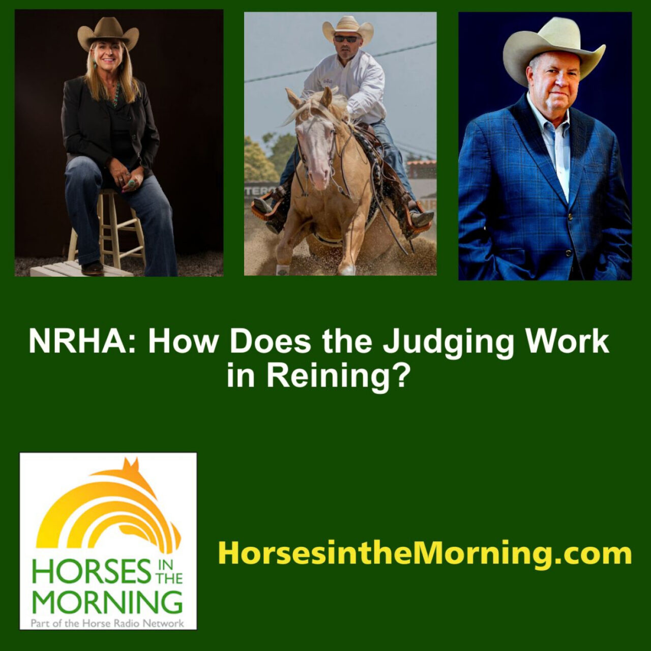 NRHA for May 11, 2023: How Does the Judging Work in Reining? - Horse ...