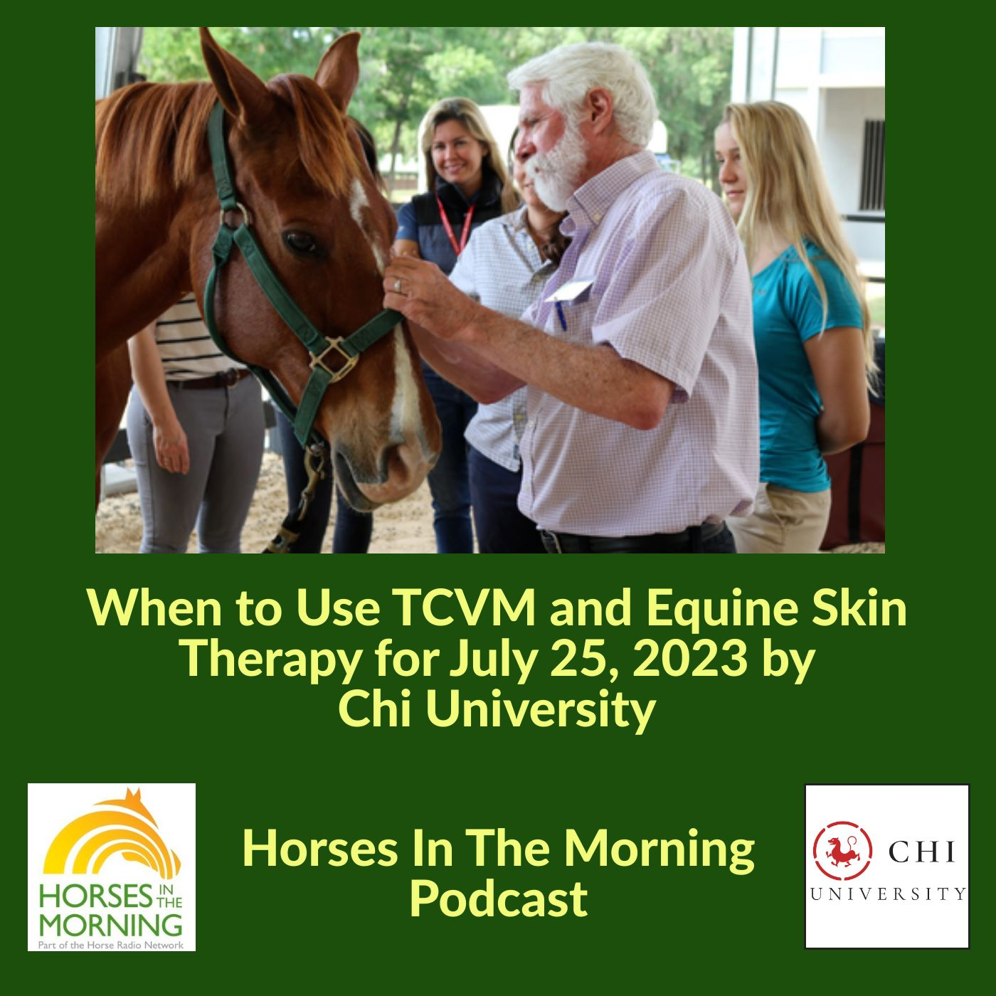 When to Use TCVM and Equine Skin Therapy for July 25, 2023 by Chi ...