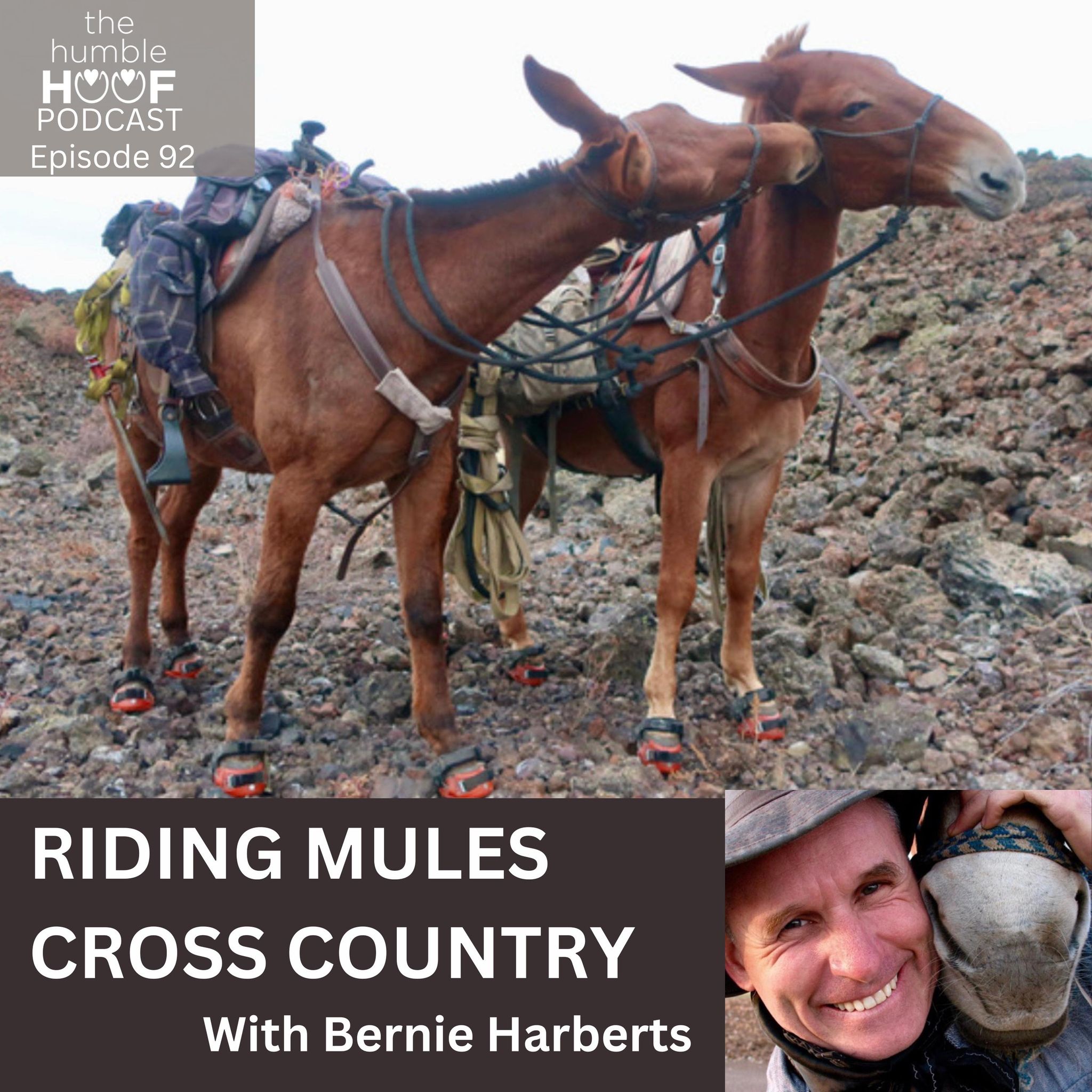 Riding Mules Cross Country - Horse Radio Network