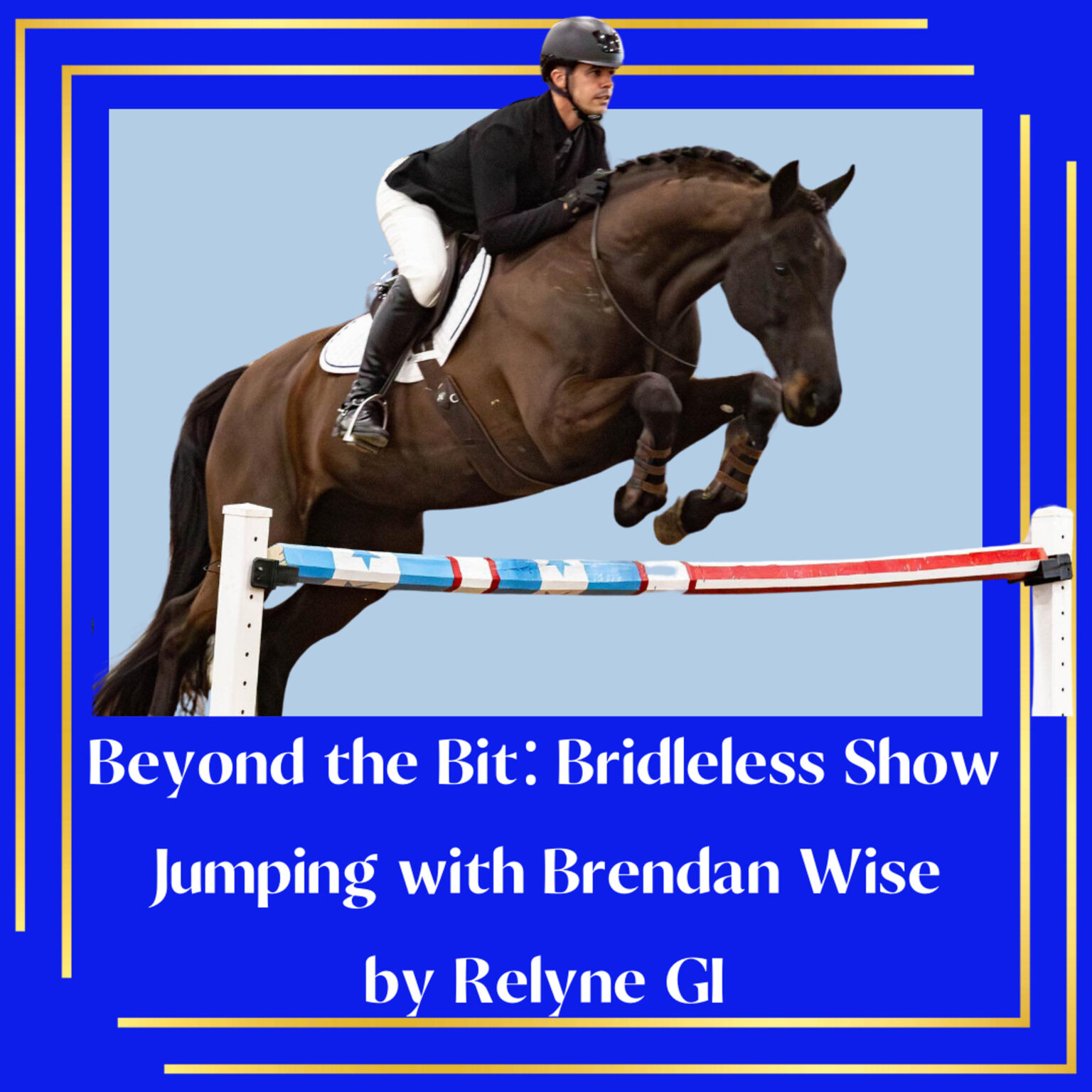 Beyond the Bit: Bridleless Show Jumping with Brendan Wise by Relyne GI ...