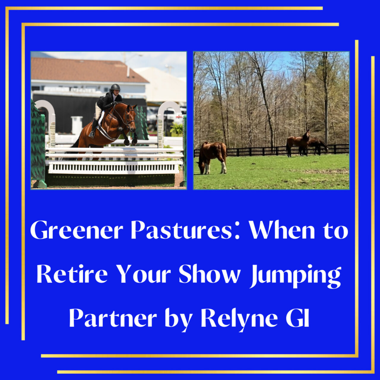 Greener Pastures: When to Retire Your Show Jumping Partner by Relyne GI ...