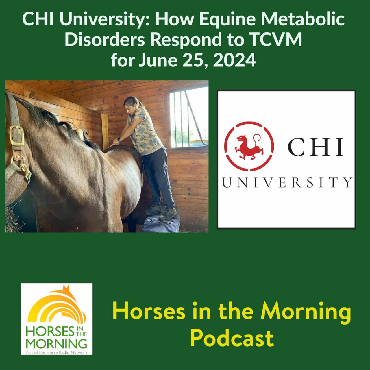 CHI University: How Equine Metabolic Disorders Respond to TCVM, for ...