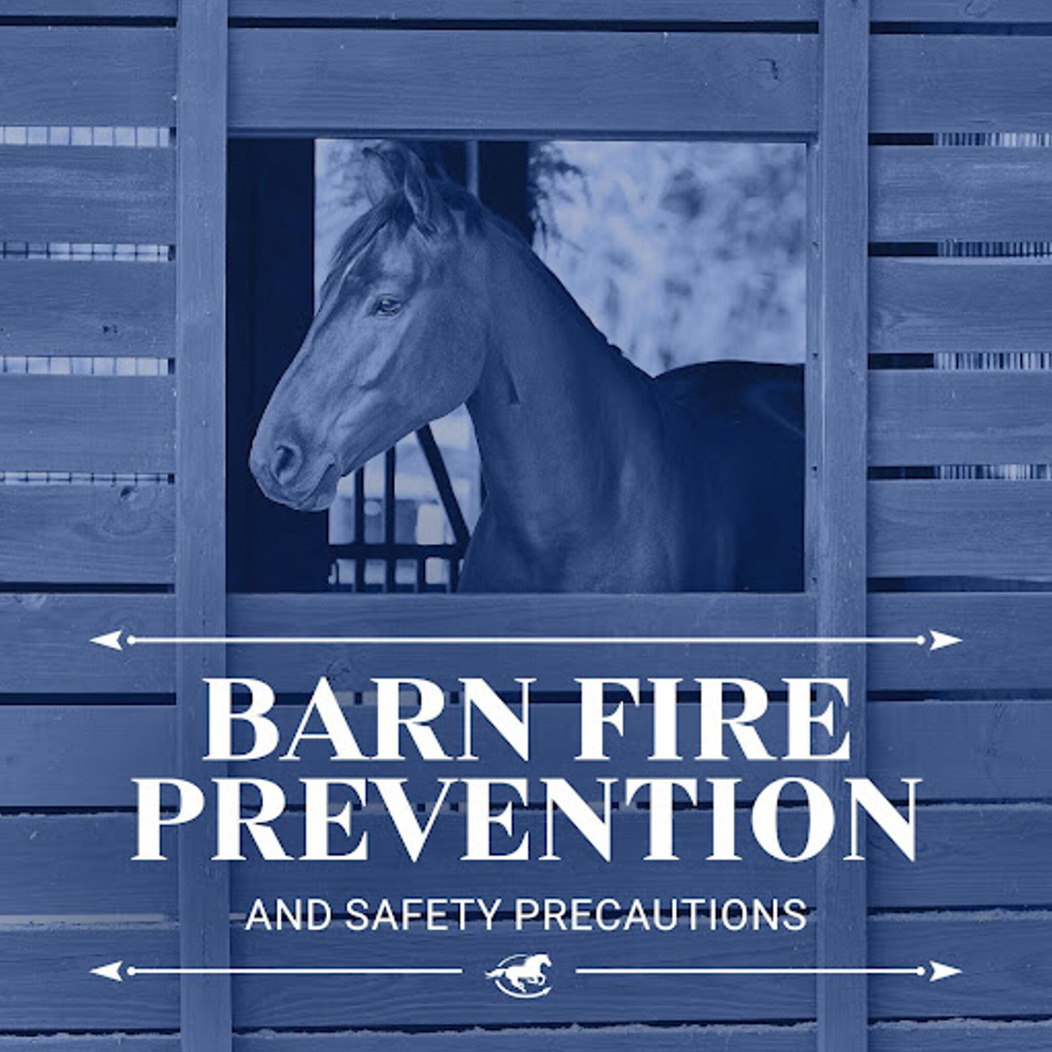 Barn Fire Prevention and Safety Precautions - The Horse HealthCast with ...