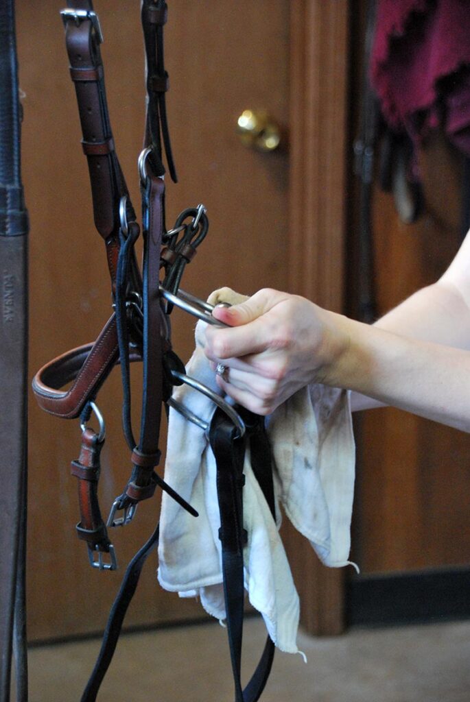 Cleaning and Inspecting Your Horse’s Tack: When and How - My New Horse