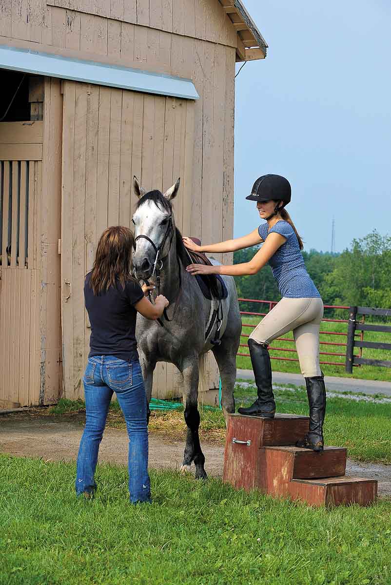 Riding Safely: Essential Tips for Horseback Riders of All Levels - My ...