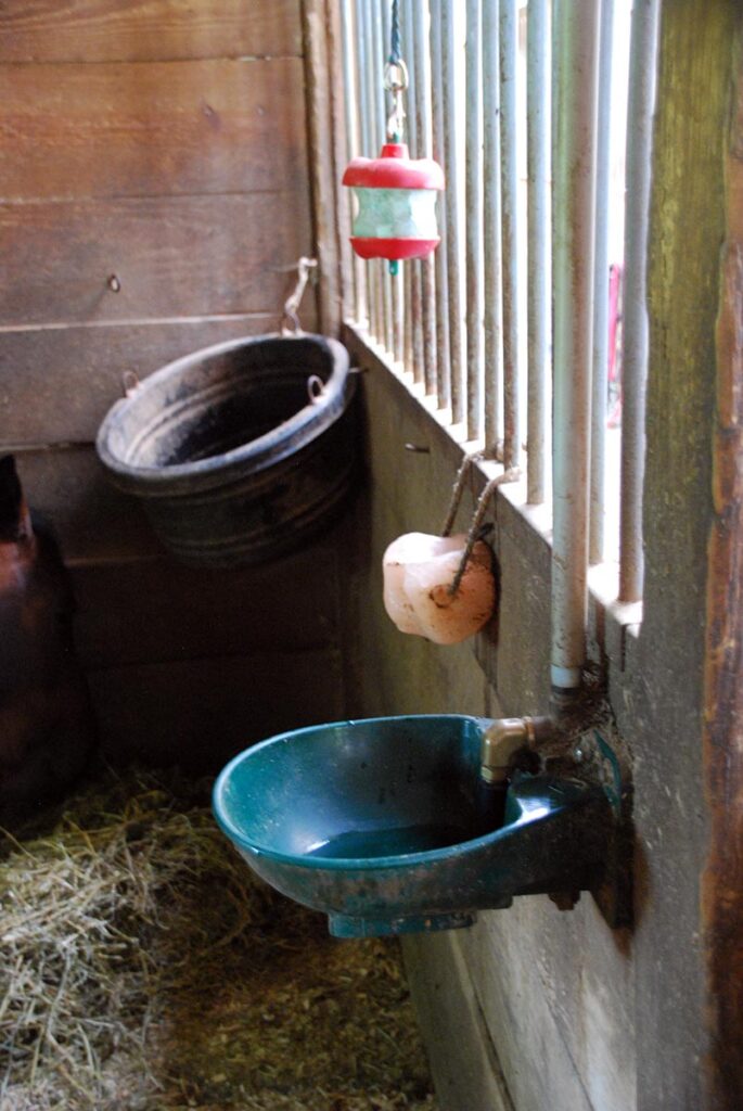Equipping Your Horse's Home: Essentials for Stall Setup - My New Horse