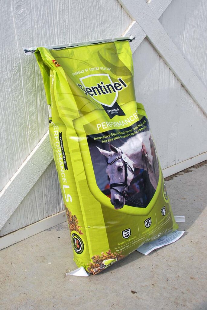 Horse Feed Cheat Sheet: Simplifying Feeding Time - My New Horse