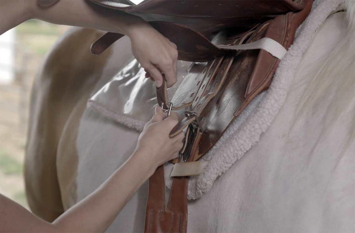 How To Saddle a Horse With an English Saddle - My New Horse