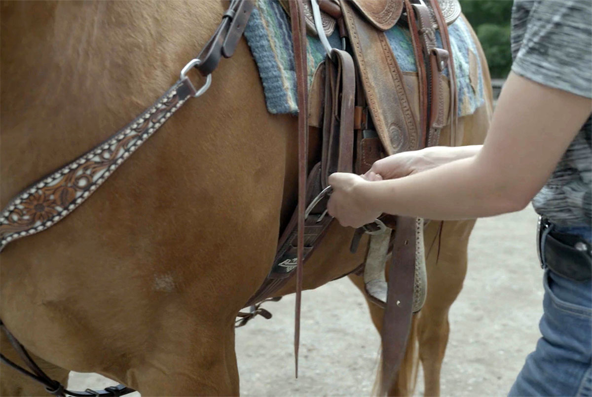 How To Saddle a Horse With a Western Saddle - My New Horse