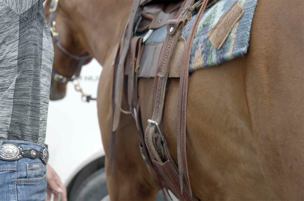 How To Saddle a Horse With a Western Saddle - My New Horse