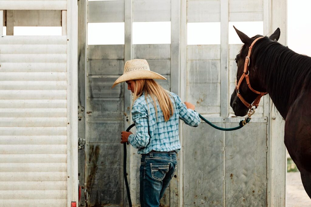 Smart Strategies for Handling Anxious Horses - My New Horse
