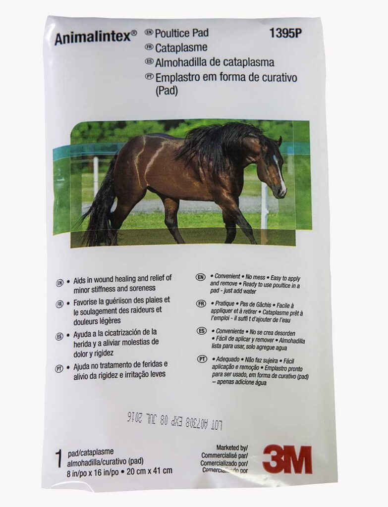 Be Prepared: Assembling a Basic Equine First-Aid Kit - My New Horse