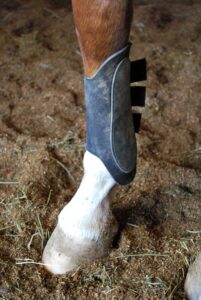 The Different Types of Leg Protection for Horses - My New Horse
