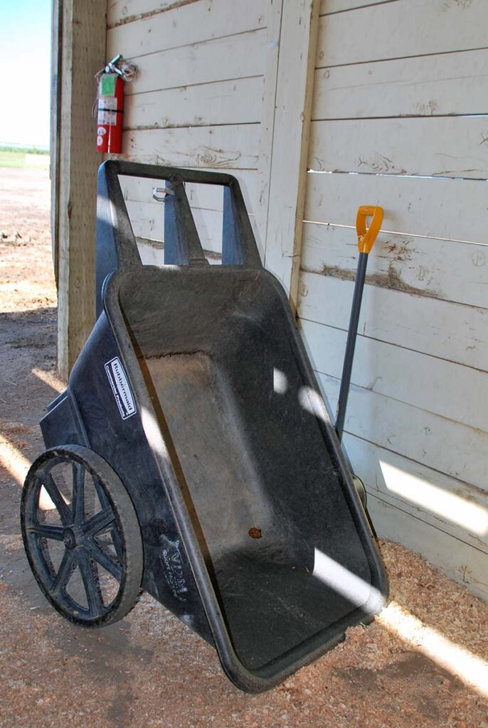 The Horse Owner’s Shopping List of Basic Horse Supplies - My New Horse