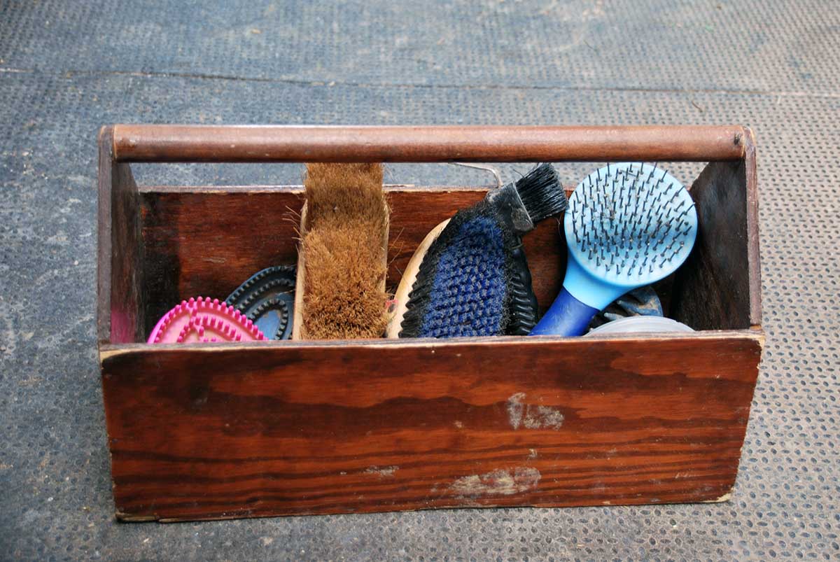 Essential Tack Room Supplies for Horse Owners - My New Horse