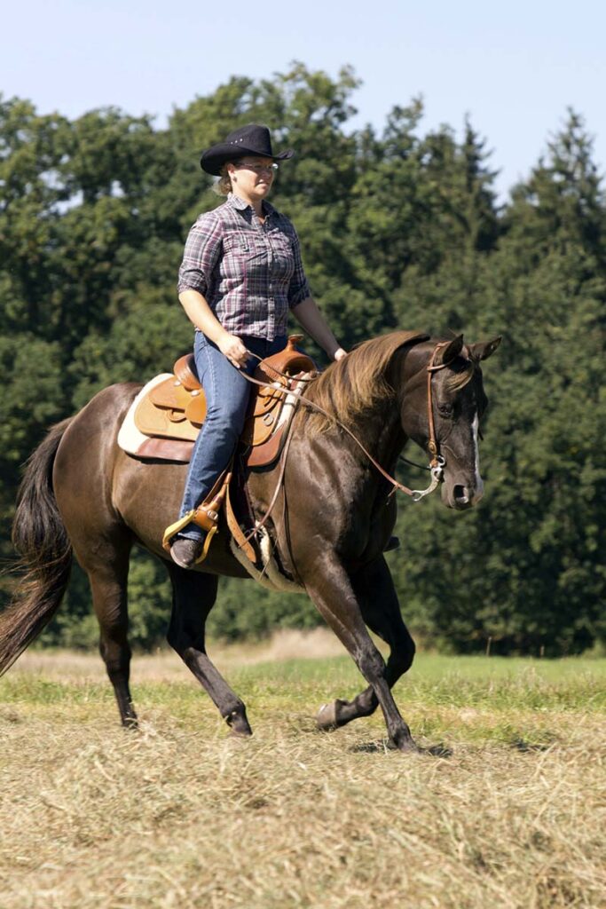 The Art of Horse Gaits: A Basic Guide to Equine Movement - My New Horse