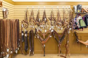 Common Types and Uses of Horse Tack and Equipment - My New Horse