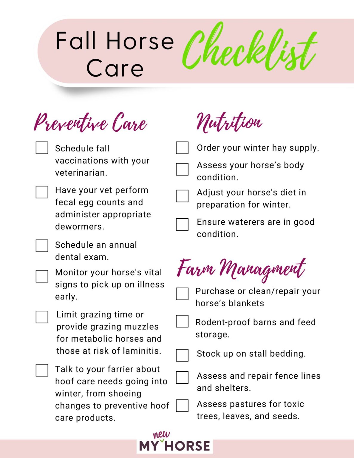 Your Guide to Fall Horse Care: An Essential Checklist - My New Horse