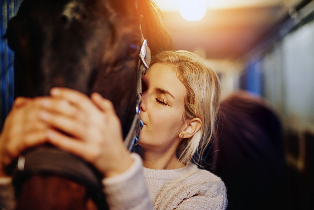 Welcome to the Barn: Getting to Know Your New Horse - My New Horse