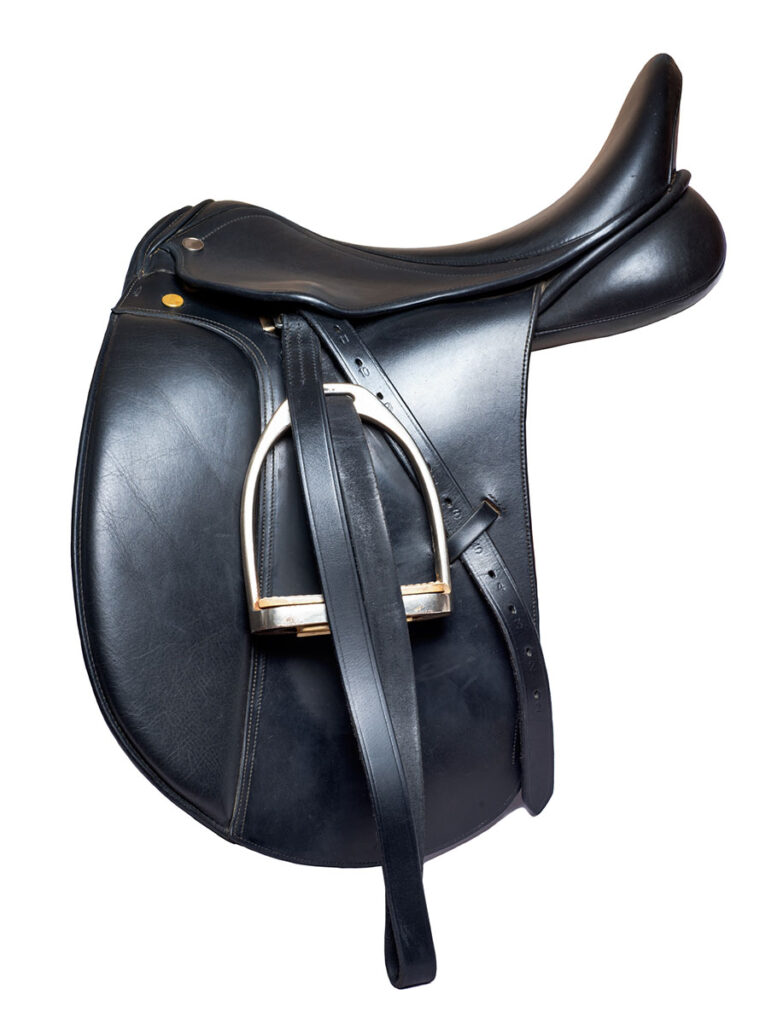 English or Western? Different Types of Saddles for Equestrians - My New ...