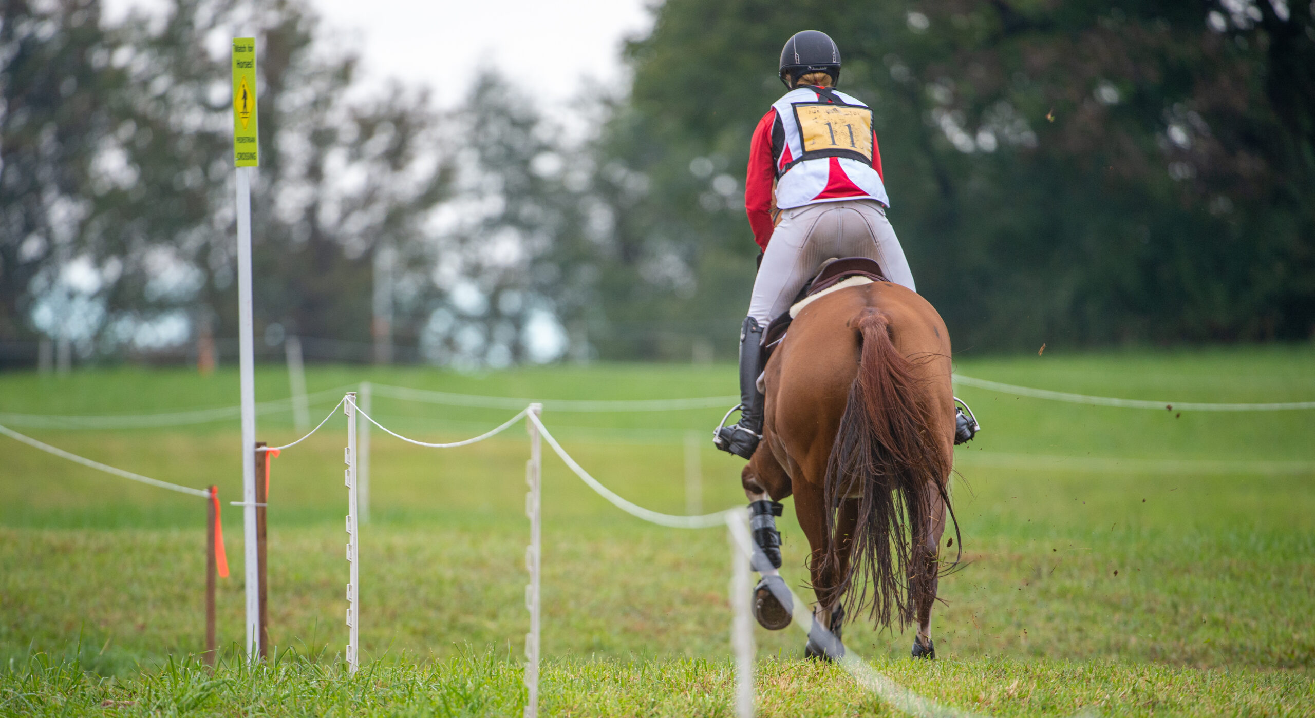 Design a Horse Fitness Plan for Eventing
