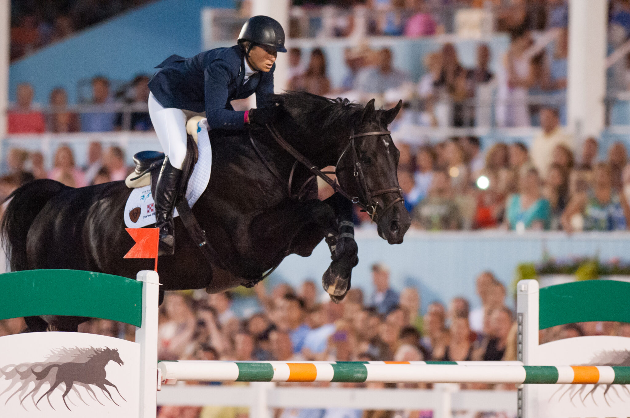 Points to Consider: Jump with the Motion of Your Horse