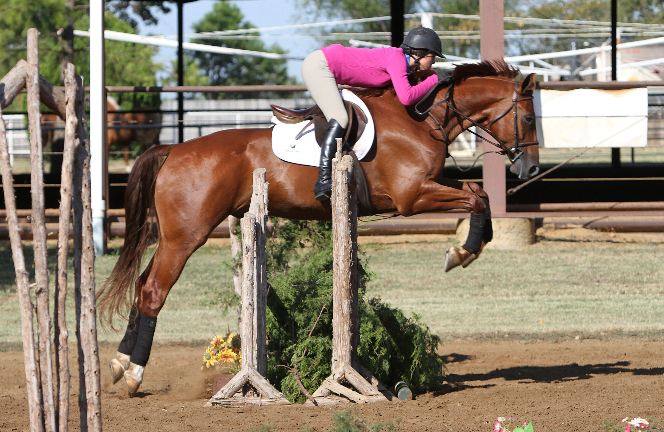 Flying Lead Changes After Fences