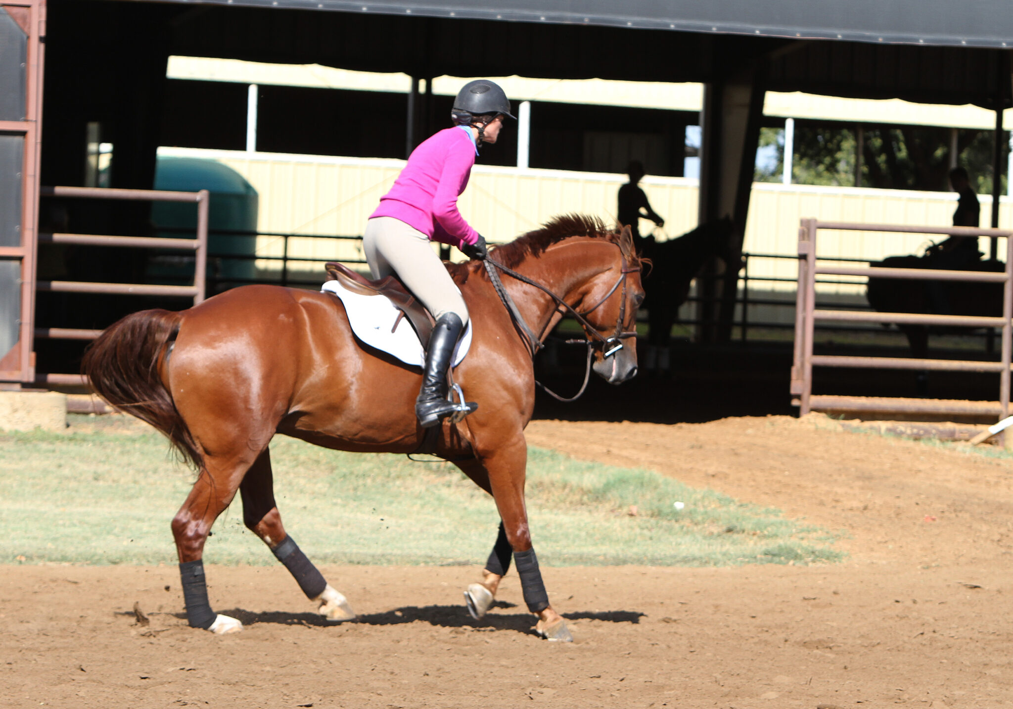 Flying Lead Changes After Fences