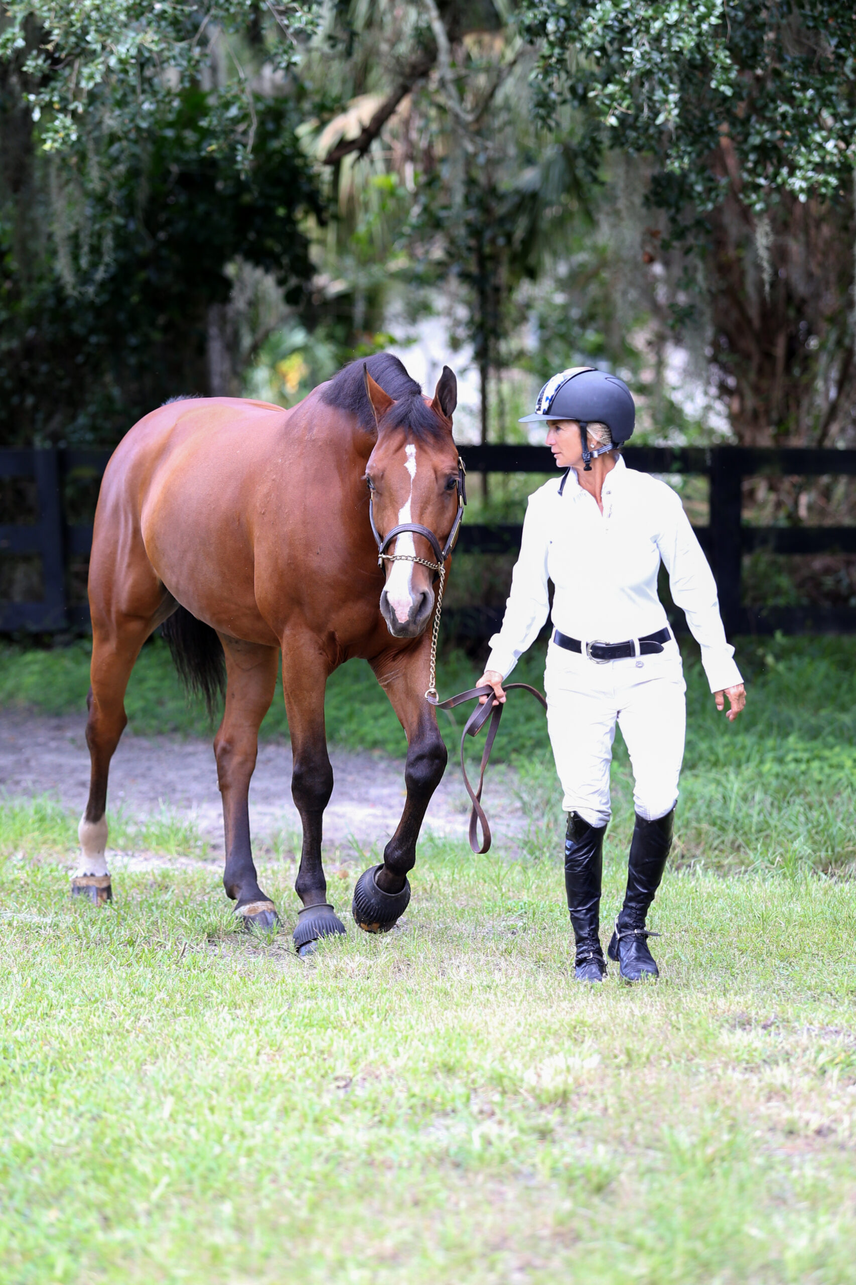 Horsemanship 101: Plan Your Horse Show