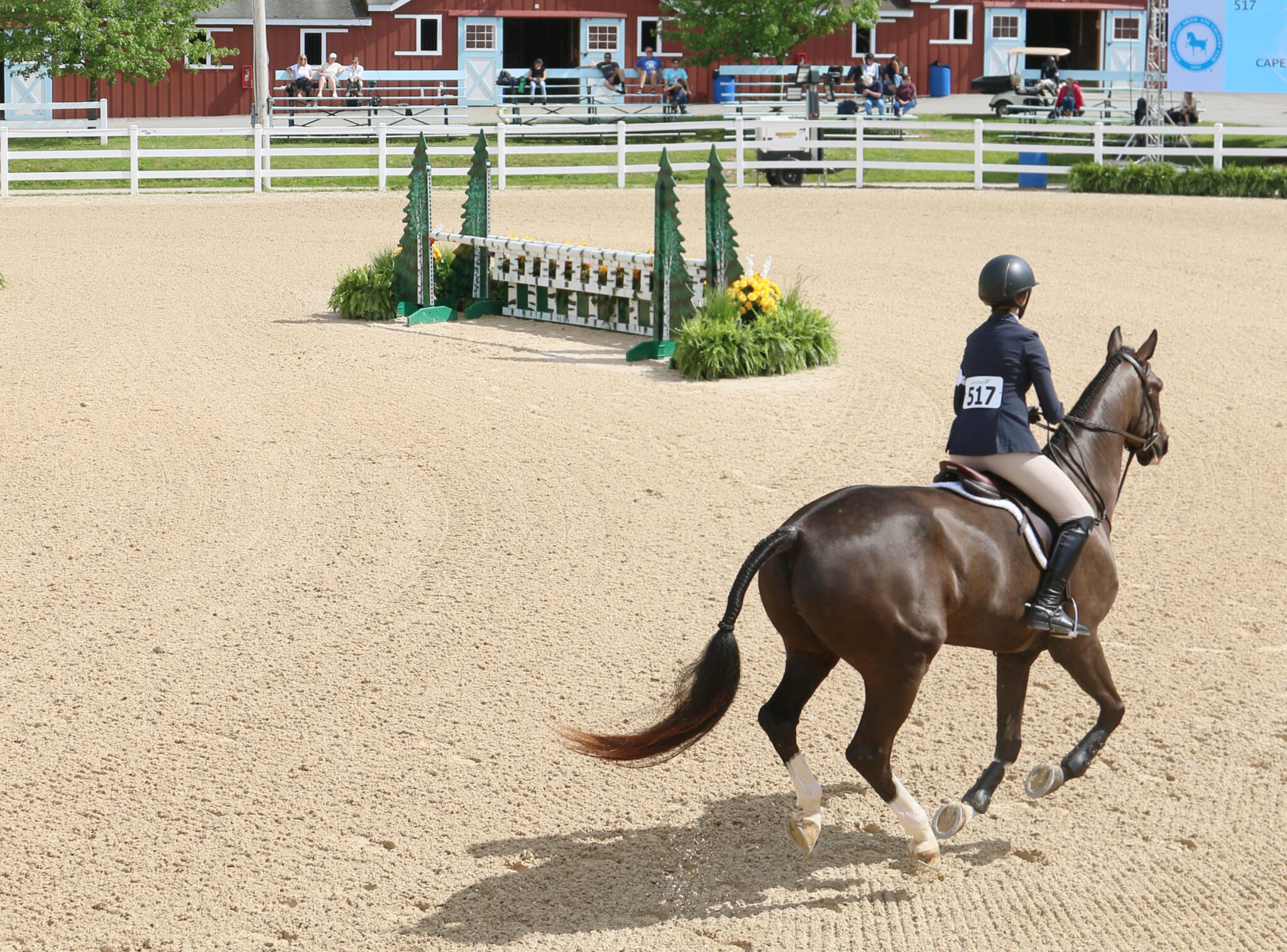 Pick the Perfect Pace for Your Horse