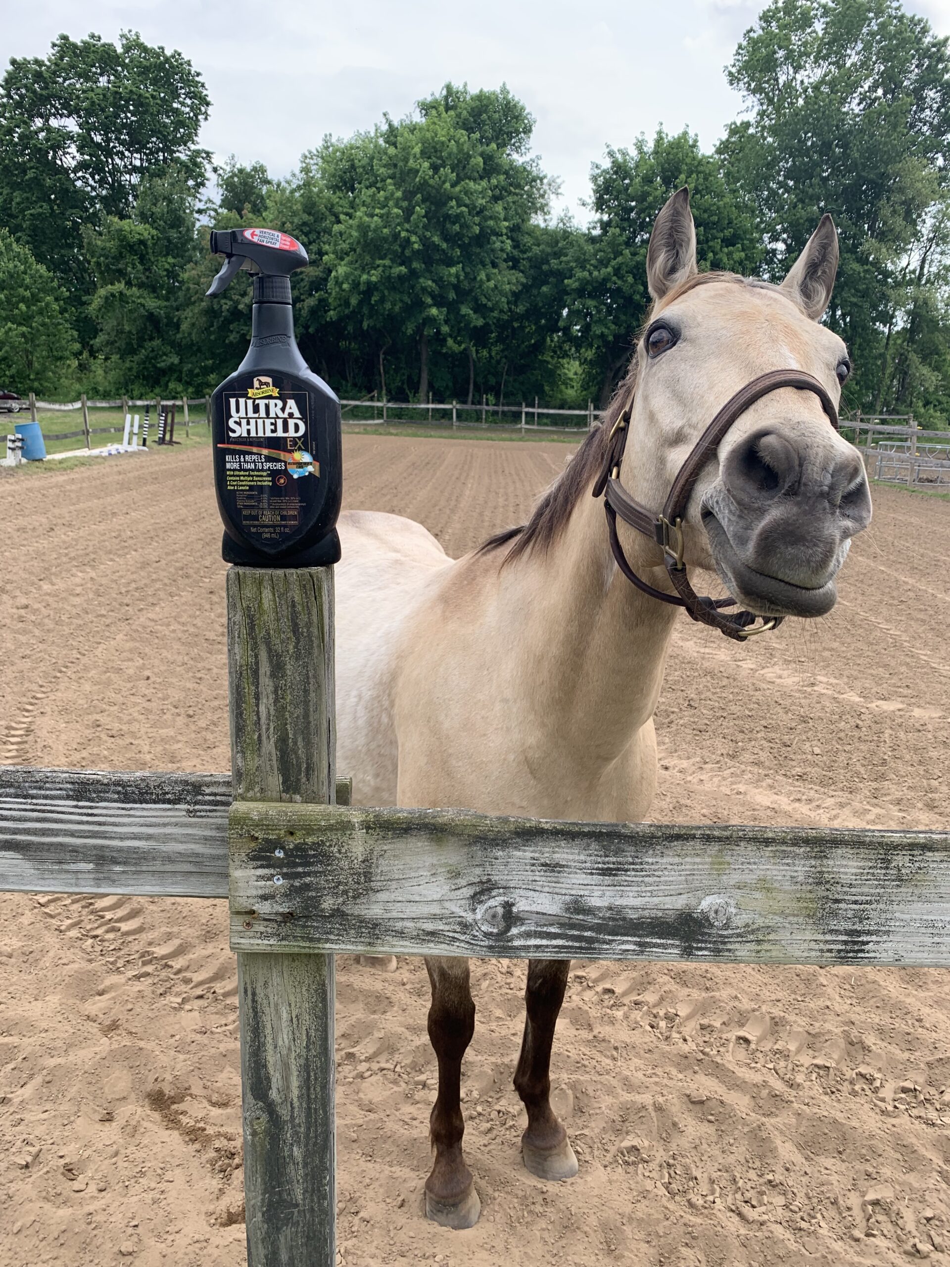 Boost Fly-Control Strategies