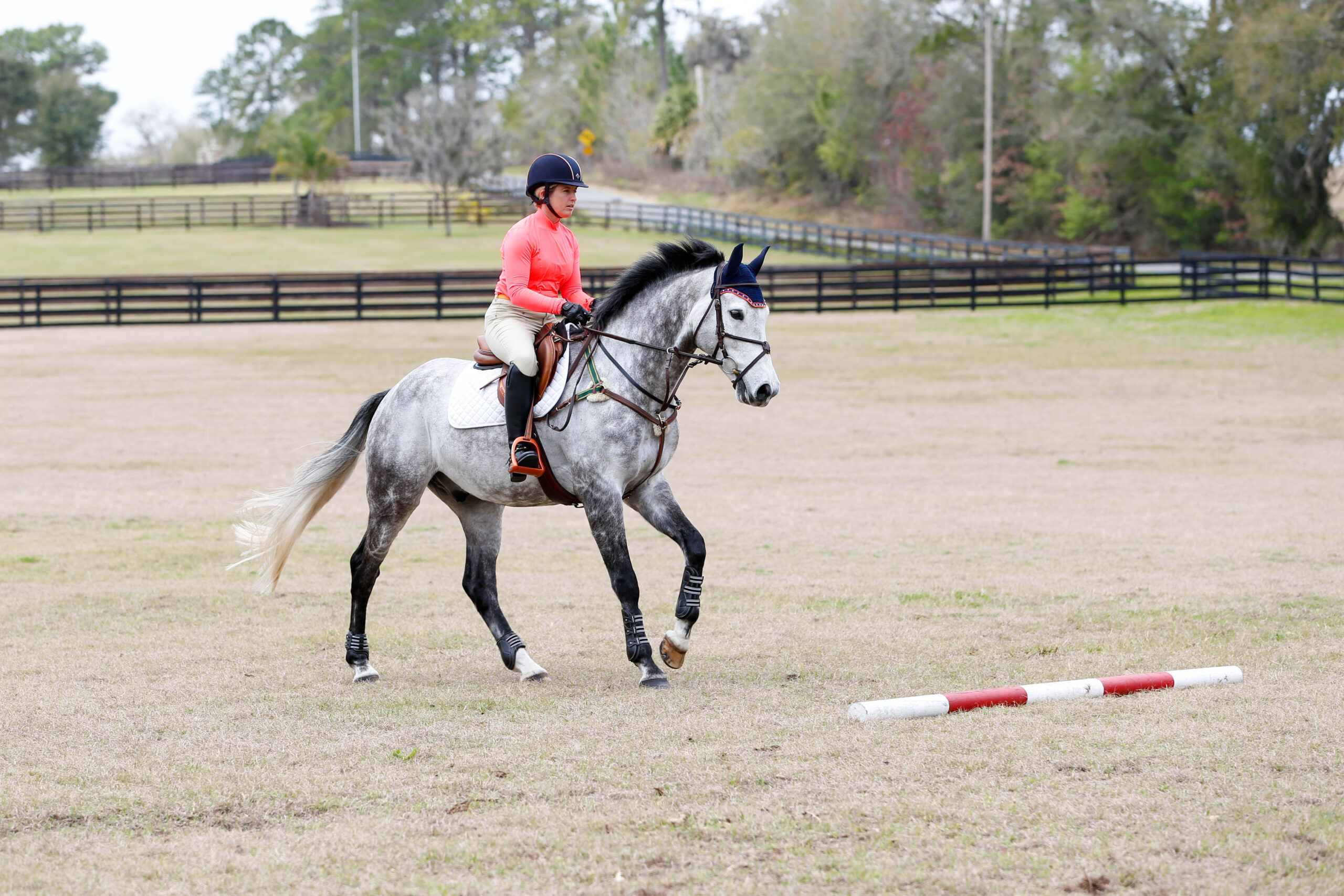 Sharon White: Become A Self-Confident Leader for Your Horse