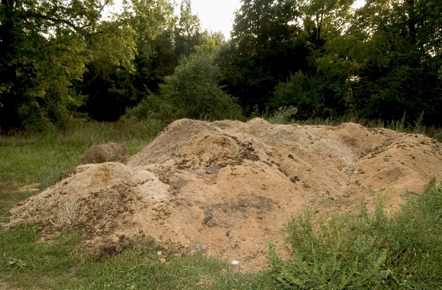 Boost Fly-Control Strategies