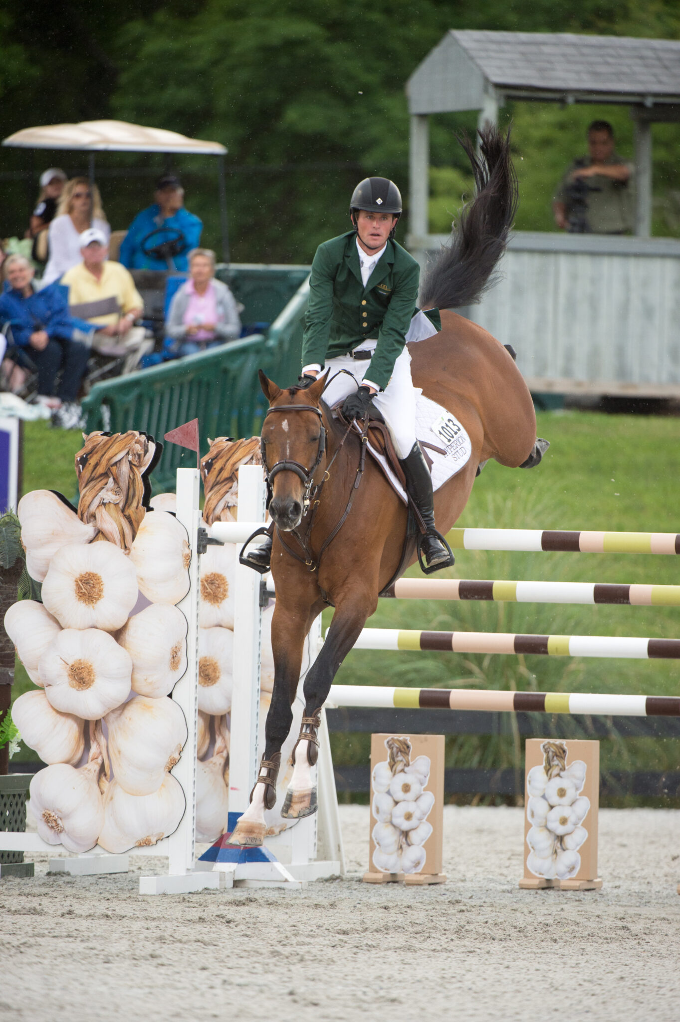 Darragh Kenny: Ride a Winning Show-Jumping Jump-Off