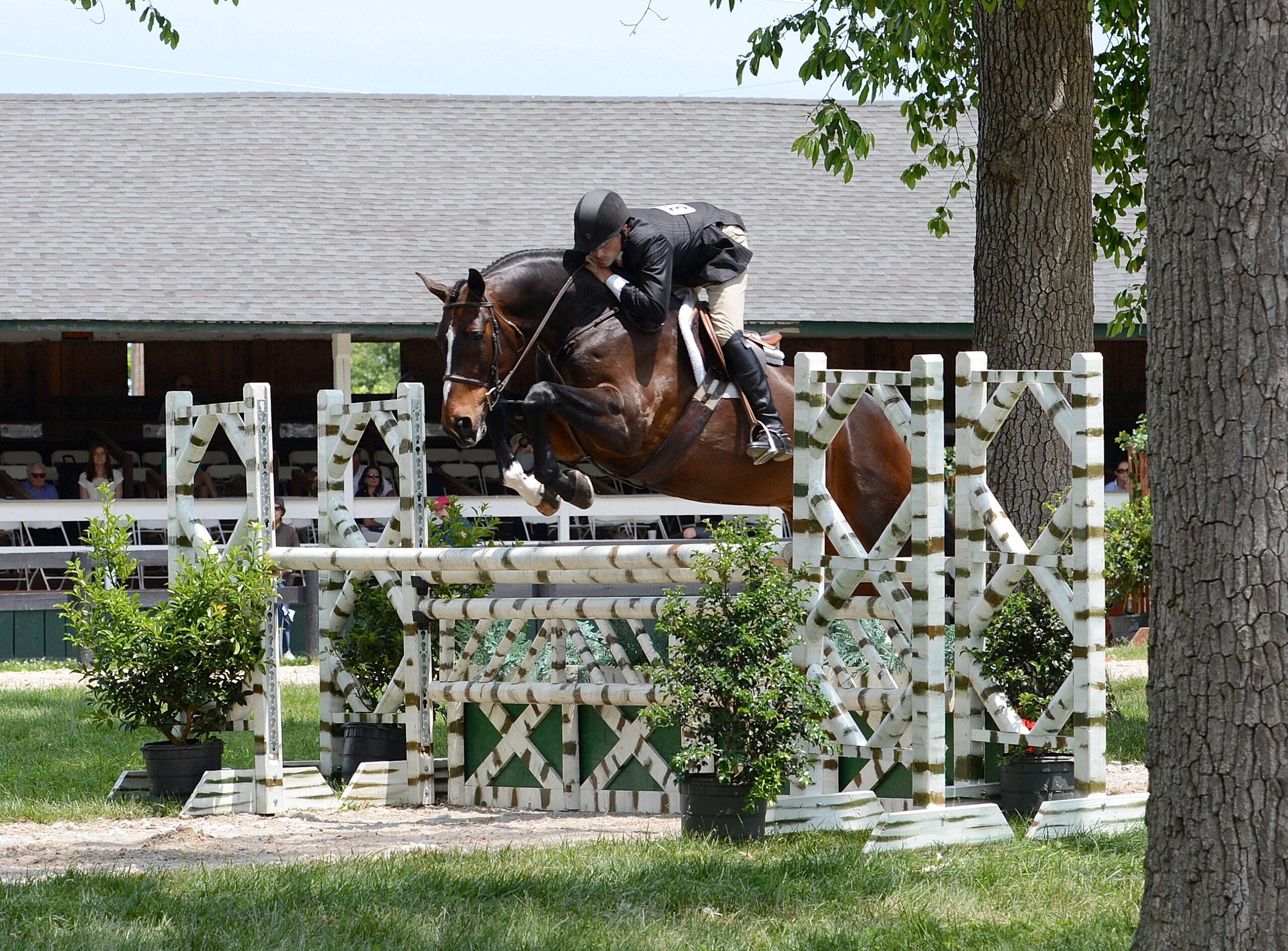 Building Confidence with Hunter Trainer Tom Brennan