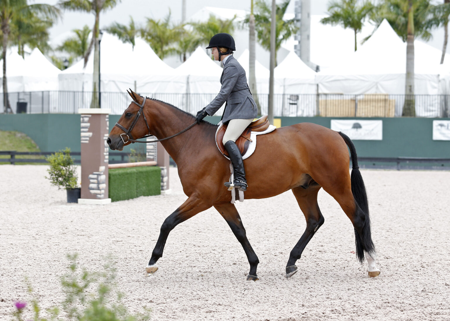 What Makes a Winning Hunter Round