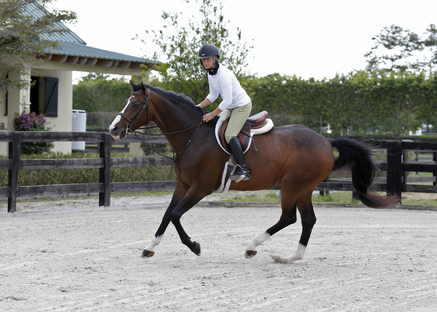 What Makes a Winning Hunter Round