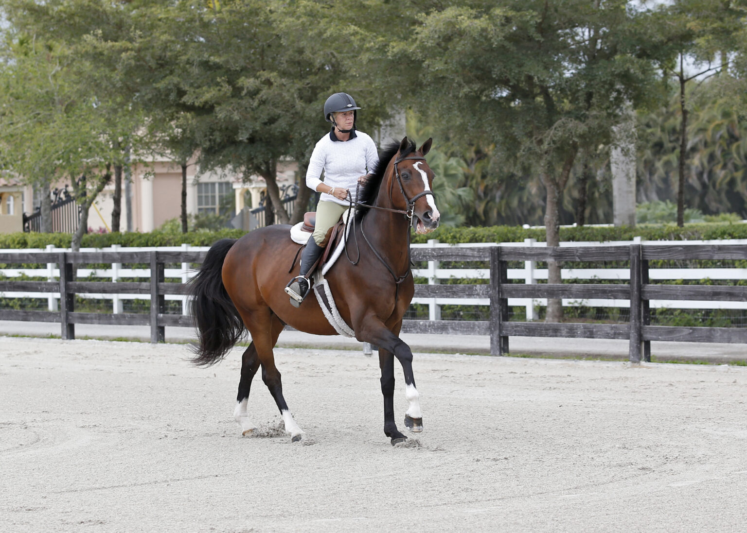 What Makes a Winning Hunter Round