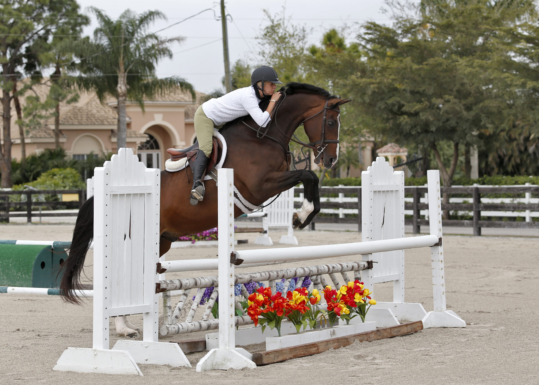 What Makes a Winning Hunter Round